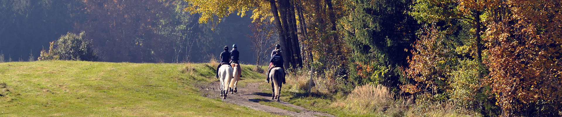 Reiturlaub in der Region Traunsee-Almtal